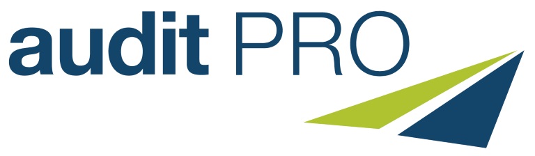 Welcome to Audit Pro